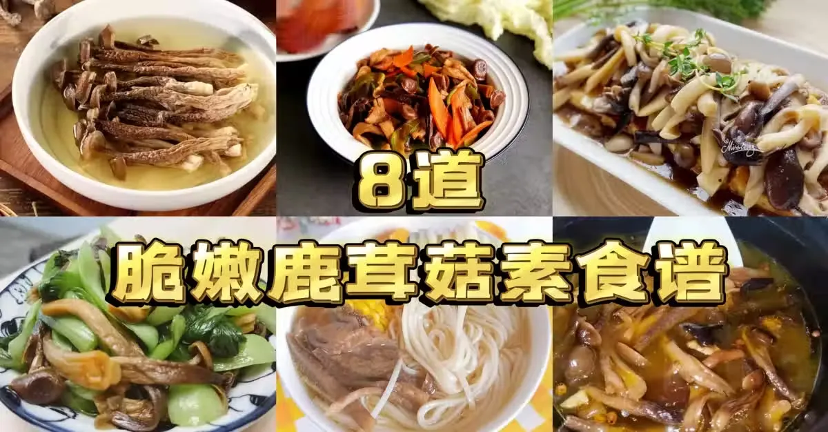 8道脆嫩鮮美的鹿茸菇素食譜，簡單易做！太美味
